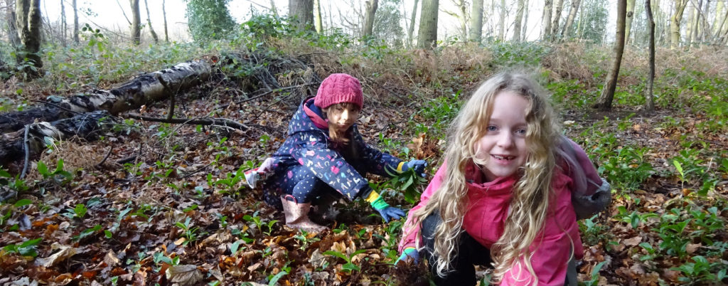 Wheatfen Forest School – Forest School clubs for children & families in Norwich & South Norfolk.